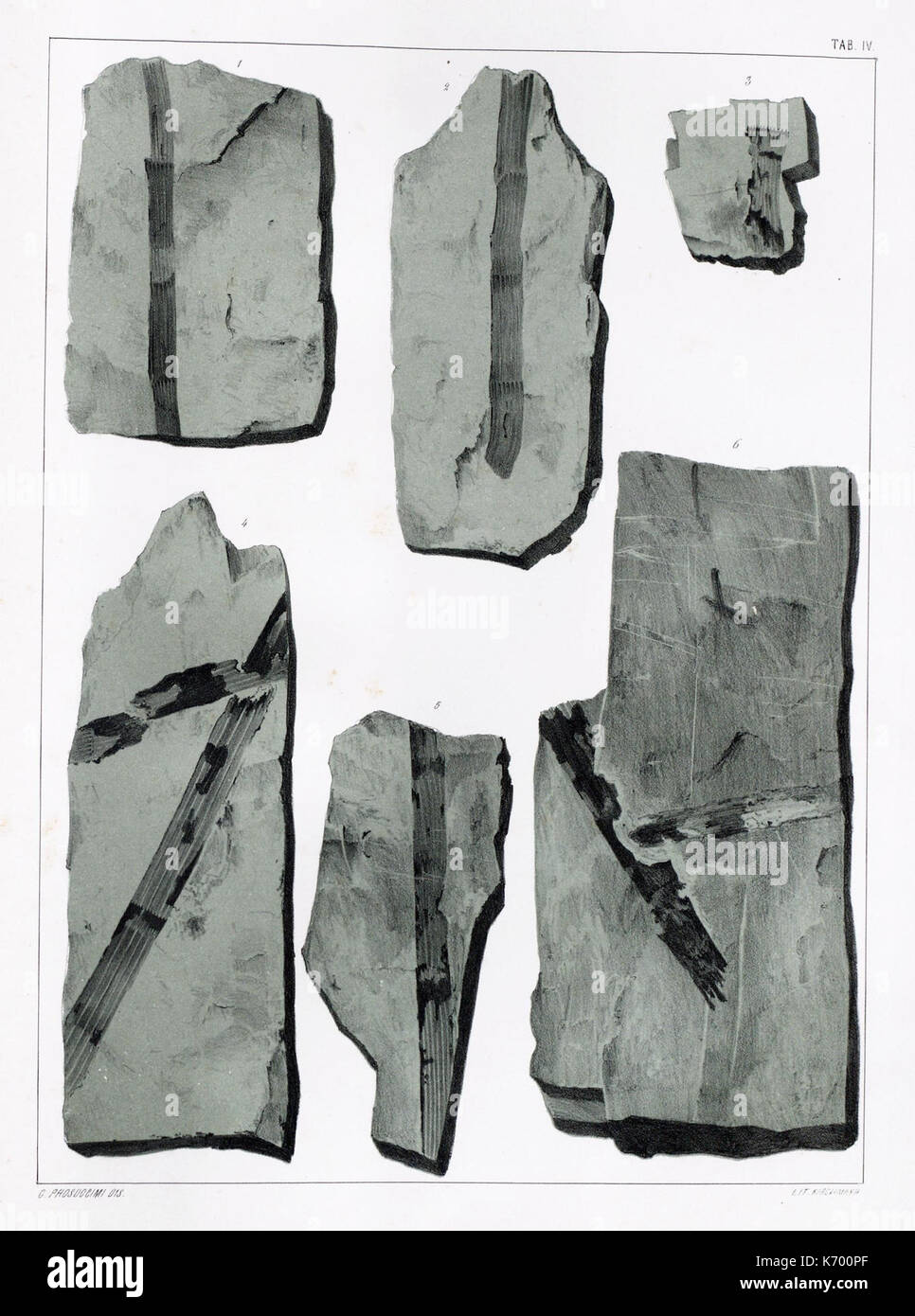 Oolithicae hi-res stock photography and images - Alamy