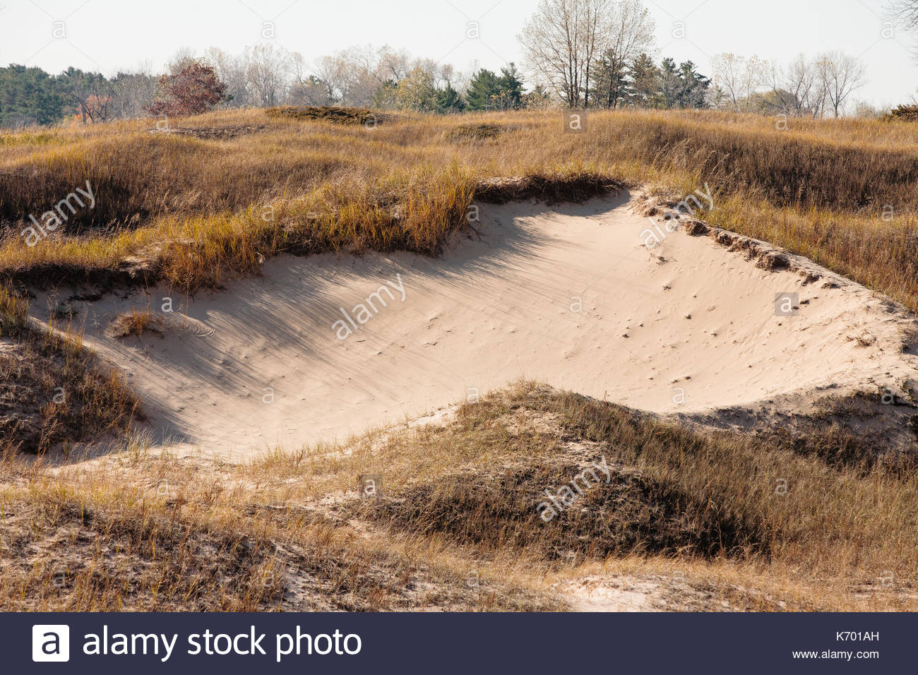 Sand Dune Stabilization Stock Photos & Sand Dune Stabilization Stock ...