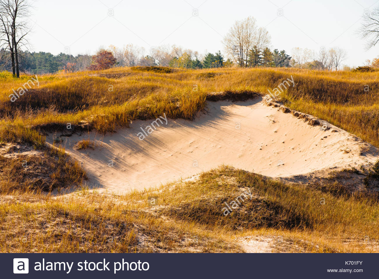 Sand Dune Stabilization Stock Photos & Sand Dune Stabilization Stock ...