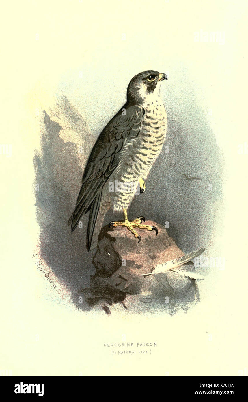 Vintage familiar hi-res stock photography and images - Alamy