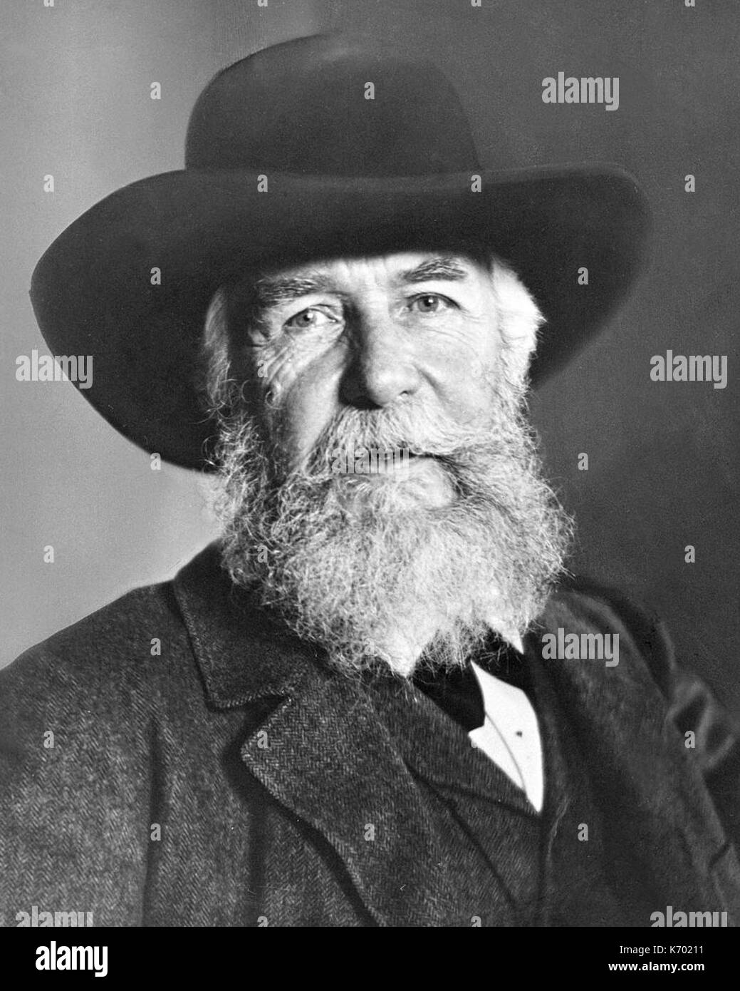 Ernst haeckel marine biologist Black and White Stock Photos & Images ...