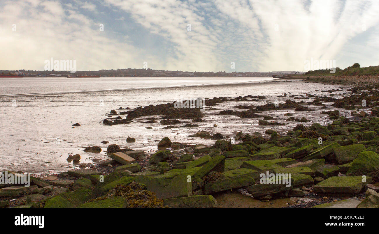 River Thames at low tide Stock Photo - Alamy