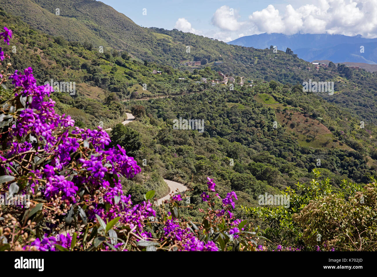 Small village and agriculture done on mountain slope in the Bolivian ...
