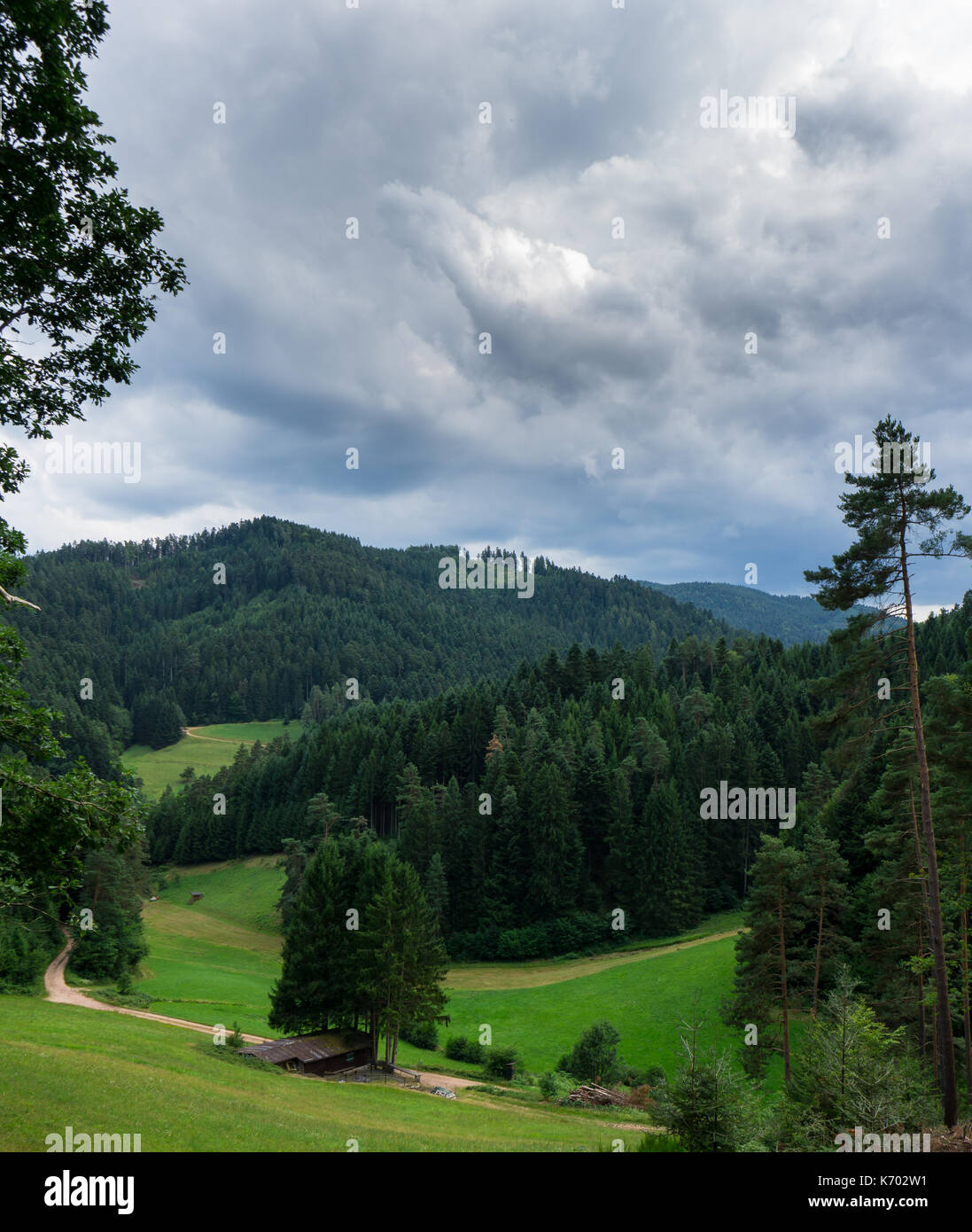 Black Forest - Scenic view over hilly landscape with path and cloudy ...