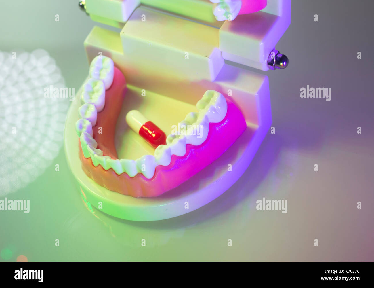 Dental teeth, mouth, gums dentists teaching model showing each tooth ...