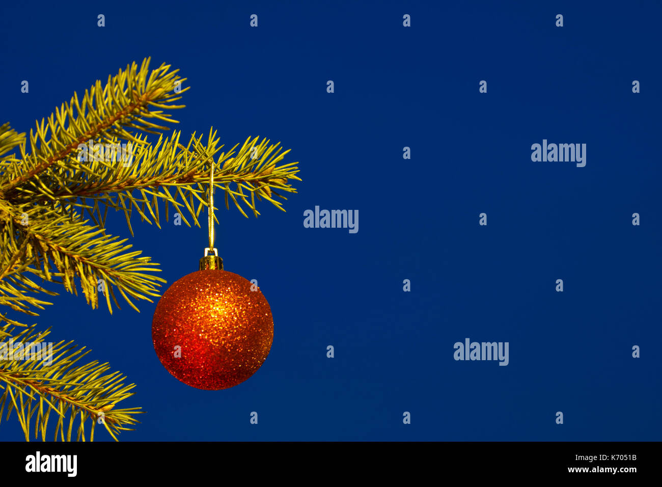Outdoor christmas tree hi-res stock photography and images - Alamy