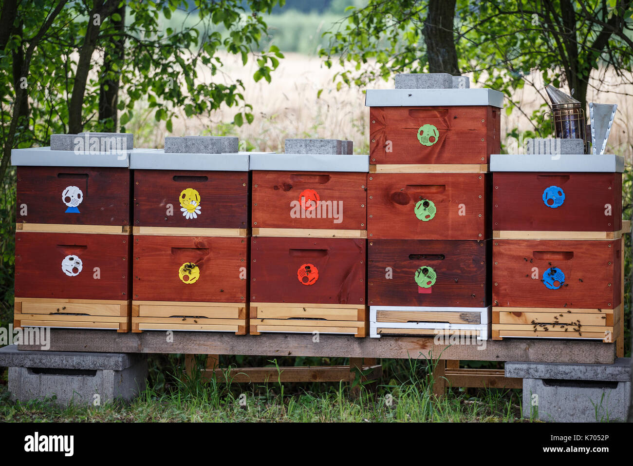 Wooden bee hives. Hives with bees Stock Photo - Alamy