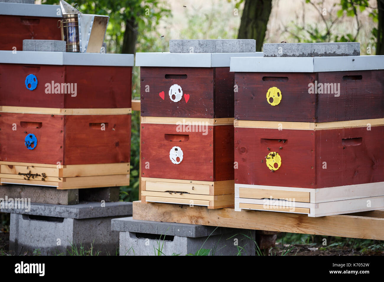 Wooden bee hives. Hives with bees Stock Photo - Alamy