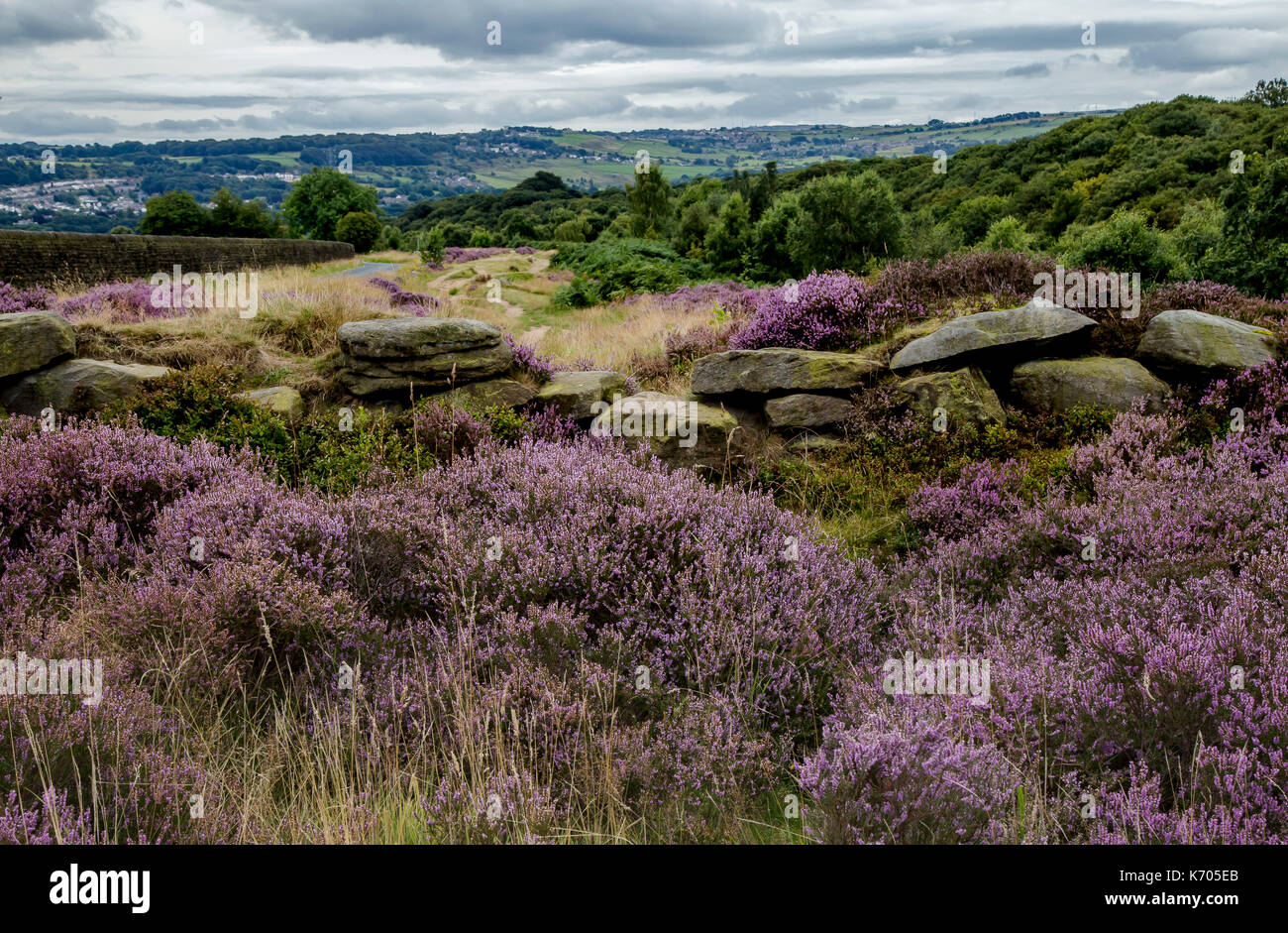 Wall heath hi-res stock photography and images - Alamy