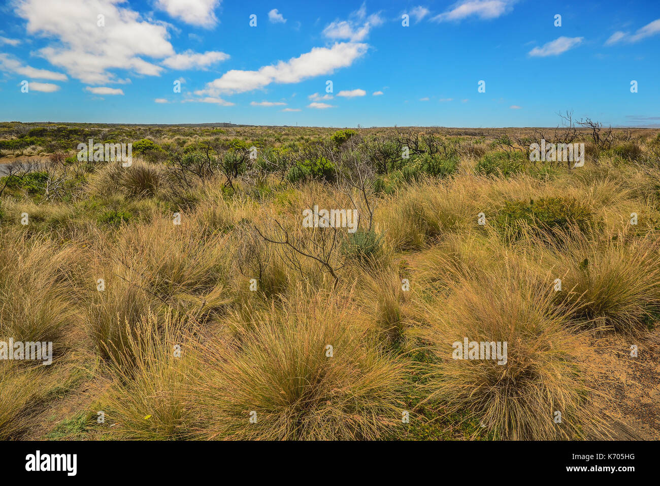 All shades of blue of the Pacific ocean. The Australian coast Stock ...