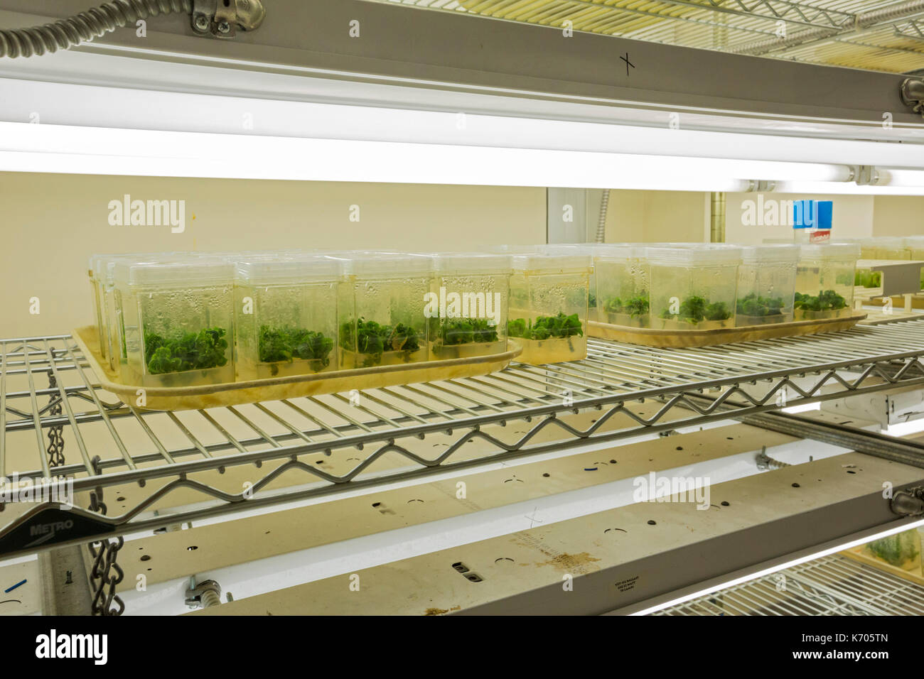 National laboratory hi-res stock photography and images - Alamy