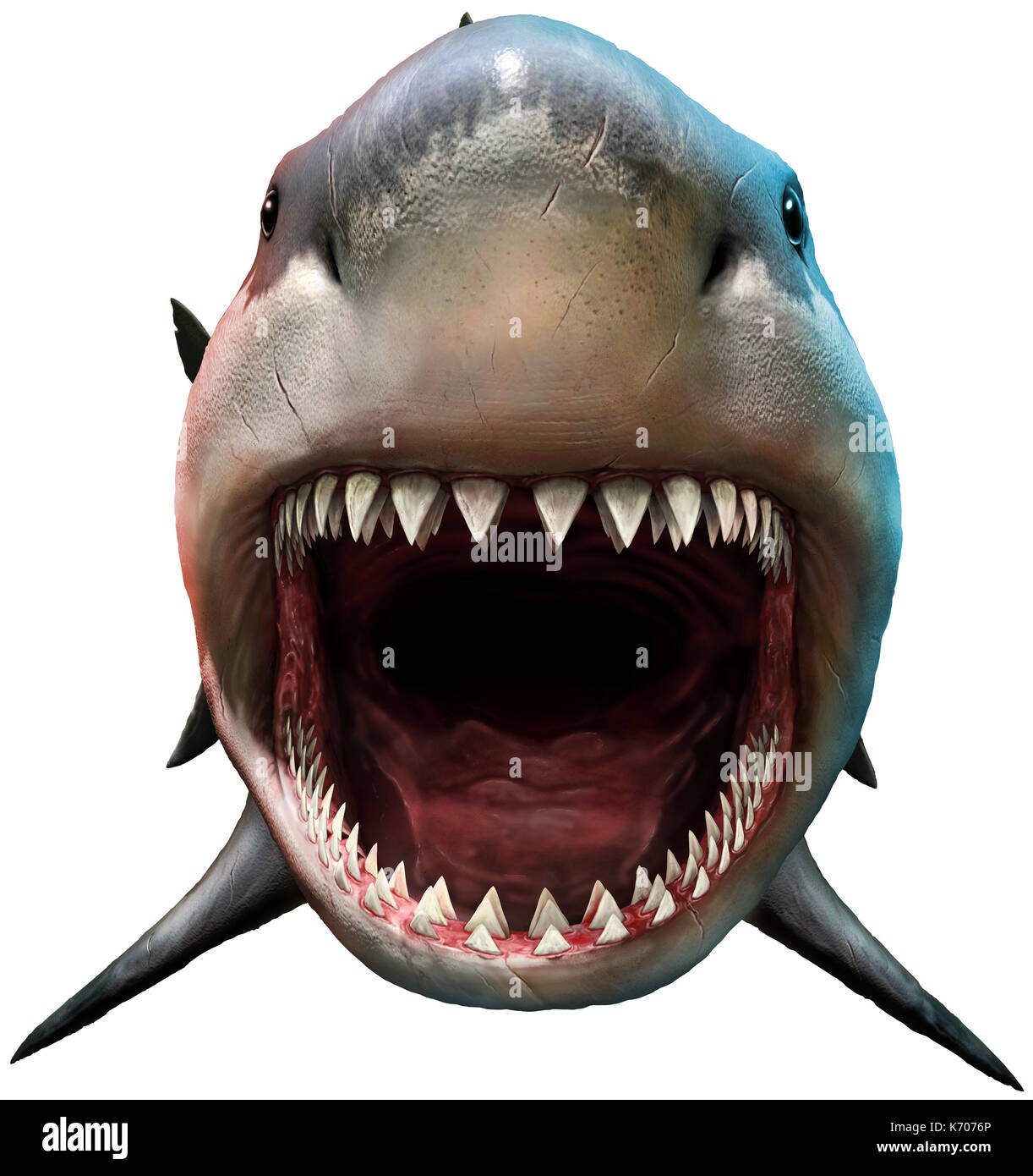 Shark Mouth 3d Stock Photos & Shark Mouth 3d Stock Images - Alamy