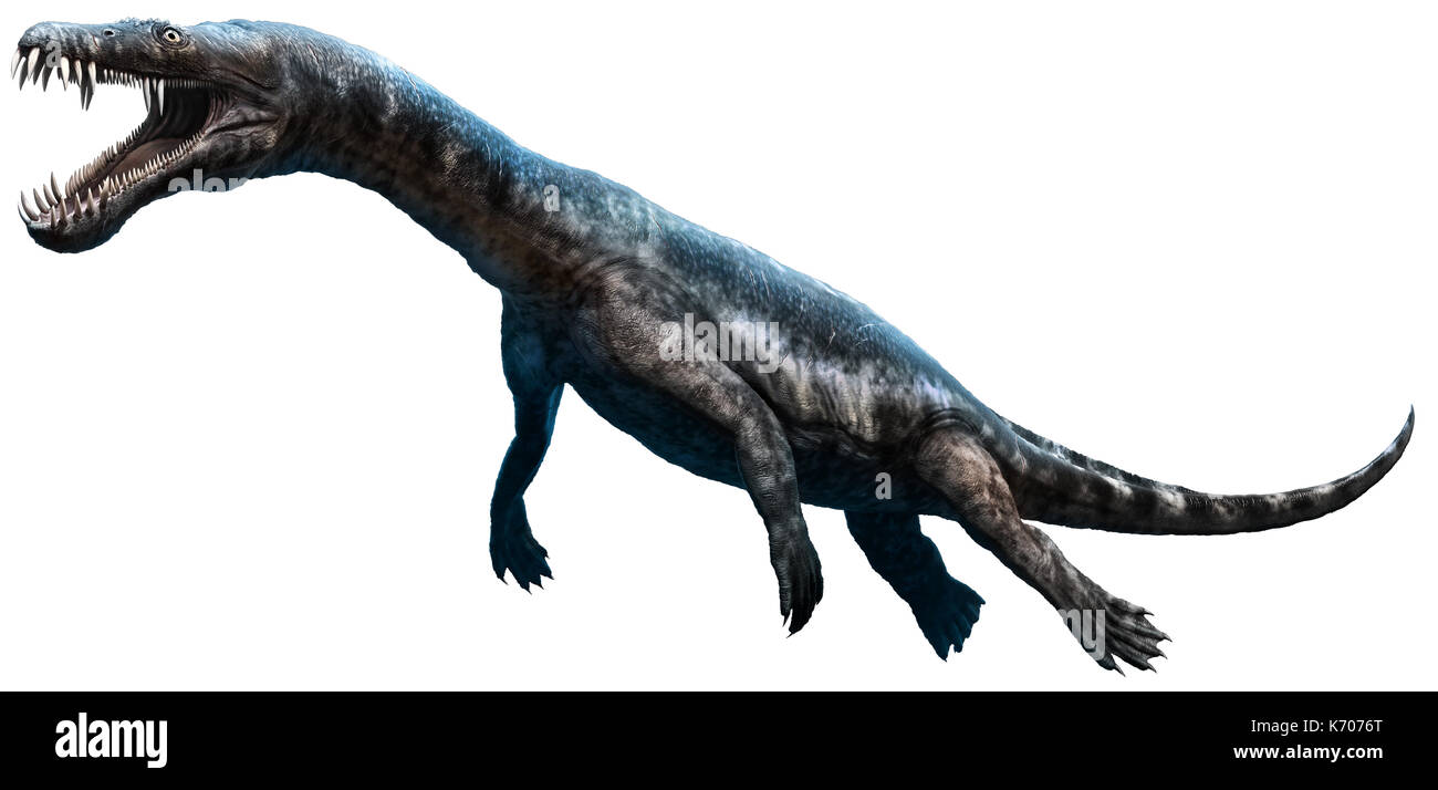 Nothosaurus Stock Photo: 159201584 - Alamy