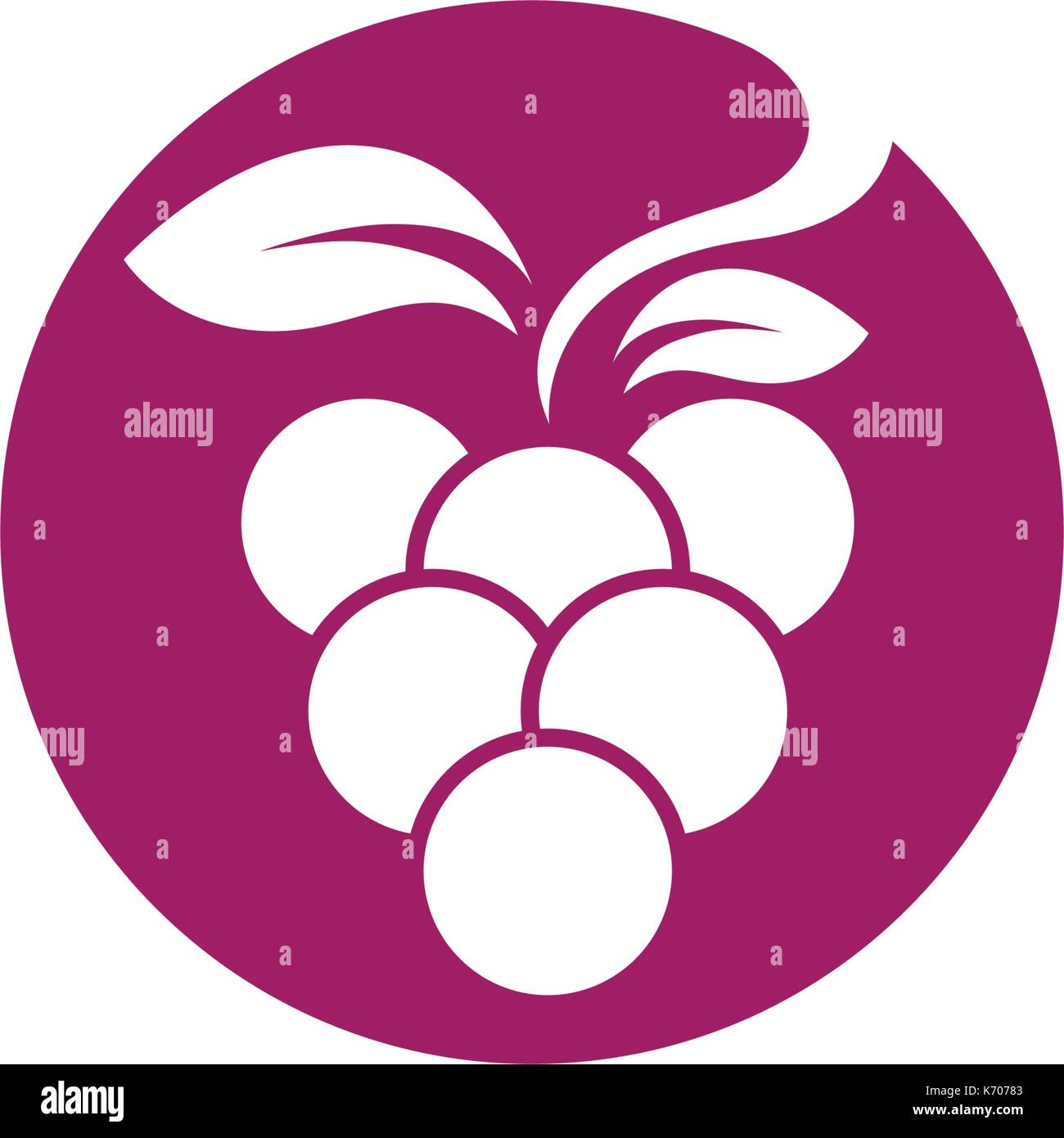 Vitis vector vectors hi-res stock photography and images - Alamy
