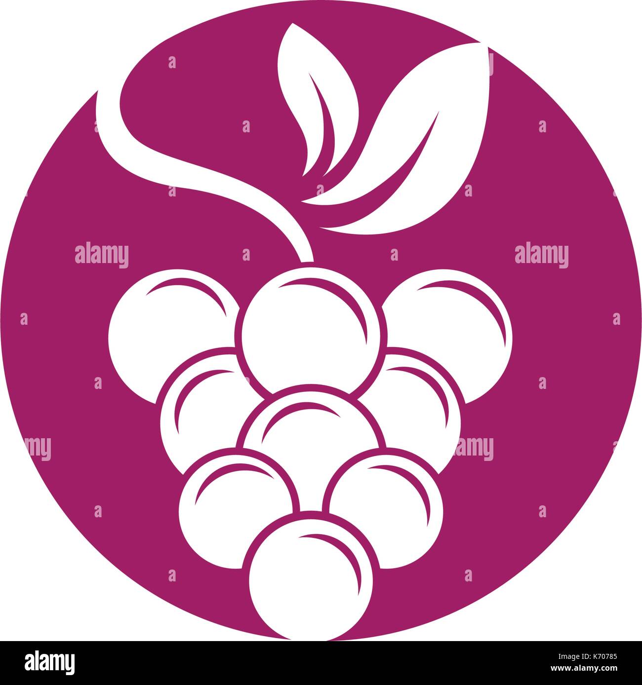 Vitis vector vectors hi-res stock photography and images - Alamy