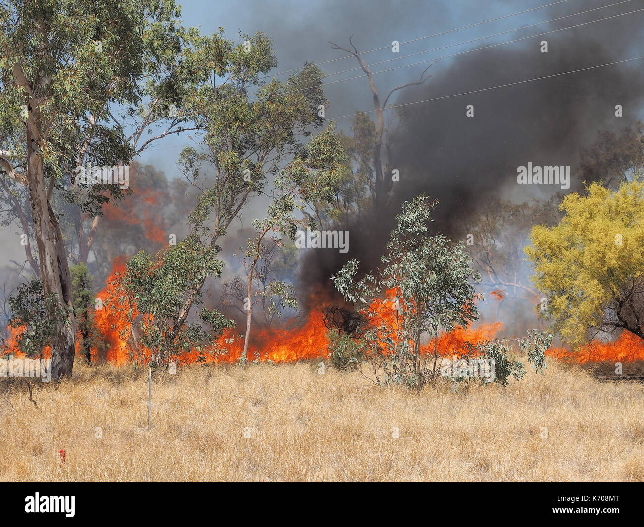 Grass fire burning near Alice Springs, Northern Territory, Australia ...