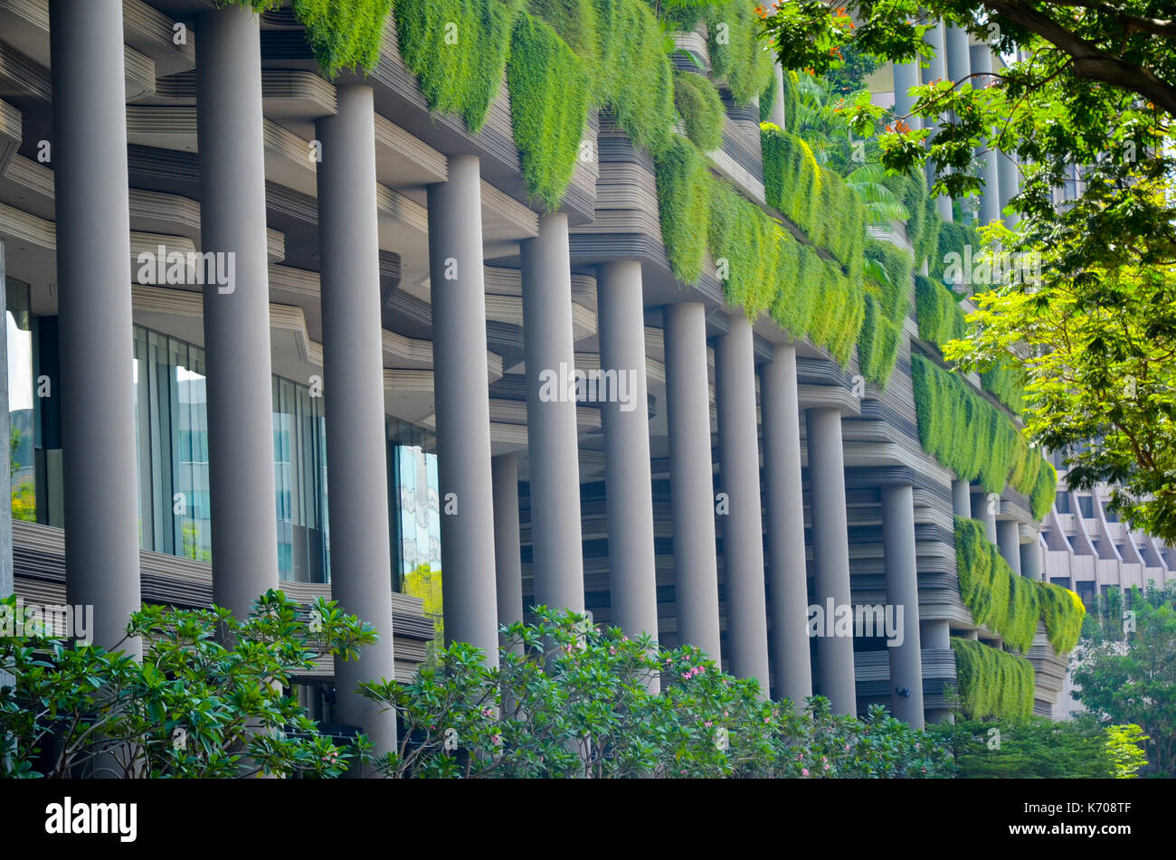 Modern architecture and vertical gardens of Singapore Stock Photo - Alamy
