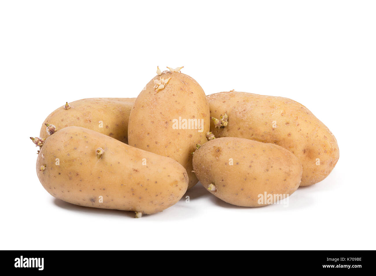 Old potatoes with sprouts isolated on white background Stock Photo - Alamy
