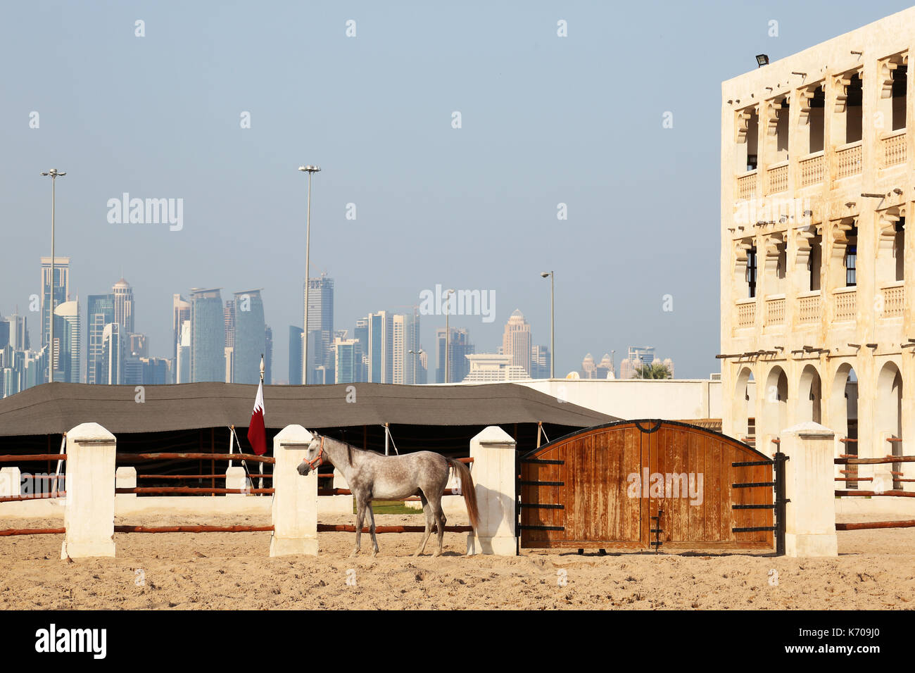 Horse stable and Skyline of Doha, Katar Stock Photo - Alamy