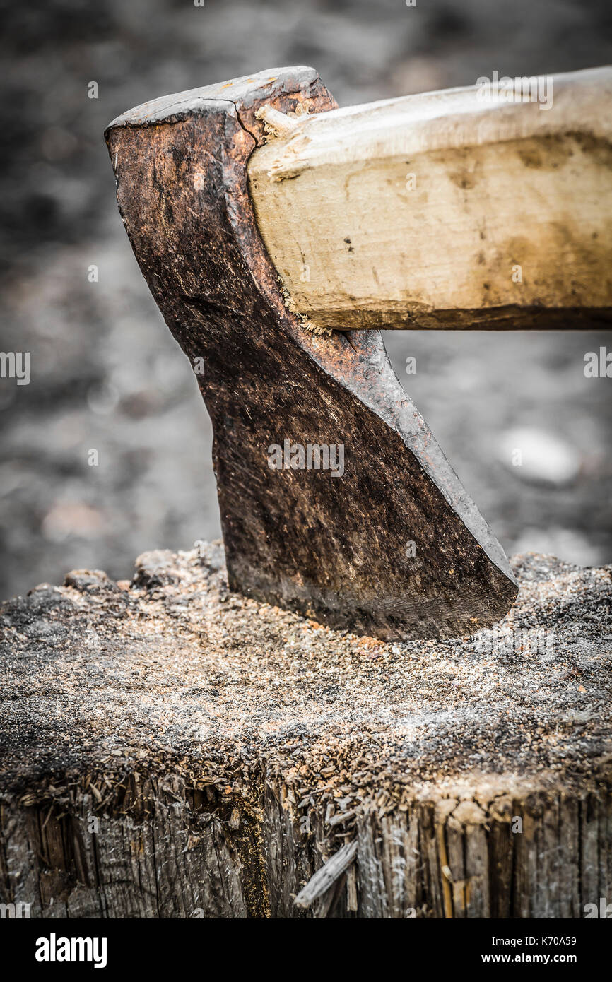 Axed tree hi-res stock photography and images - Alamy