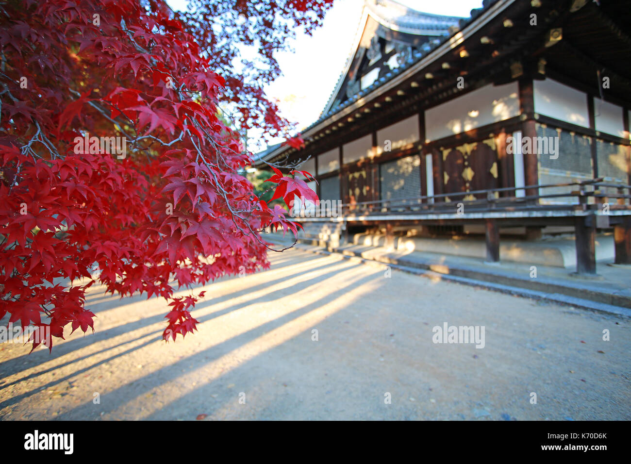 japan autumn scenery view Stock Photo - Alamy
