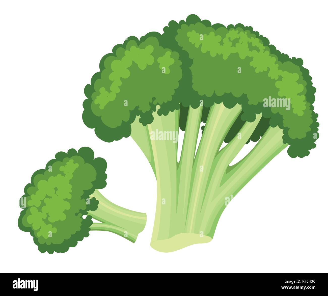 Bright vector collection of colorful broccoli. Fresh cartoon different ...