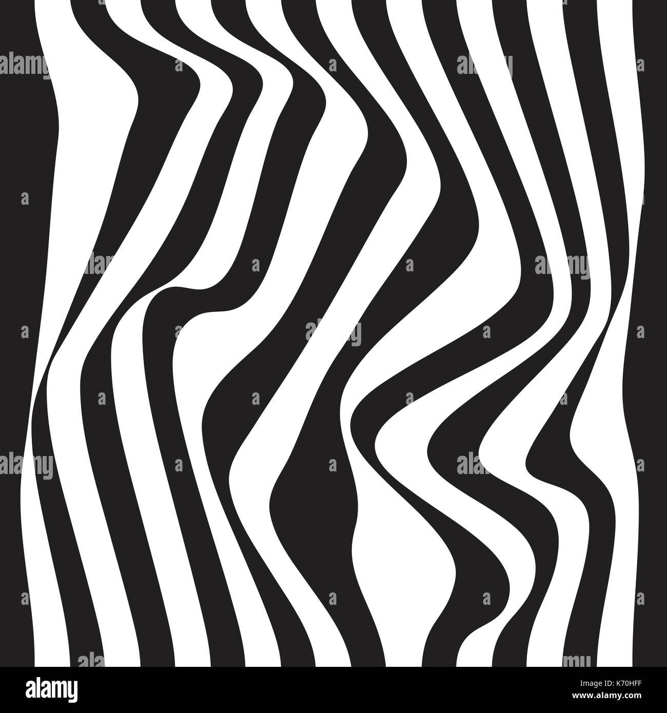 Zebra Texture Vector