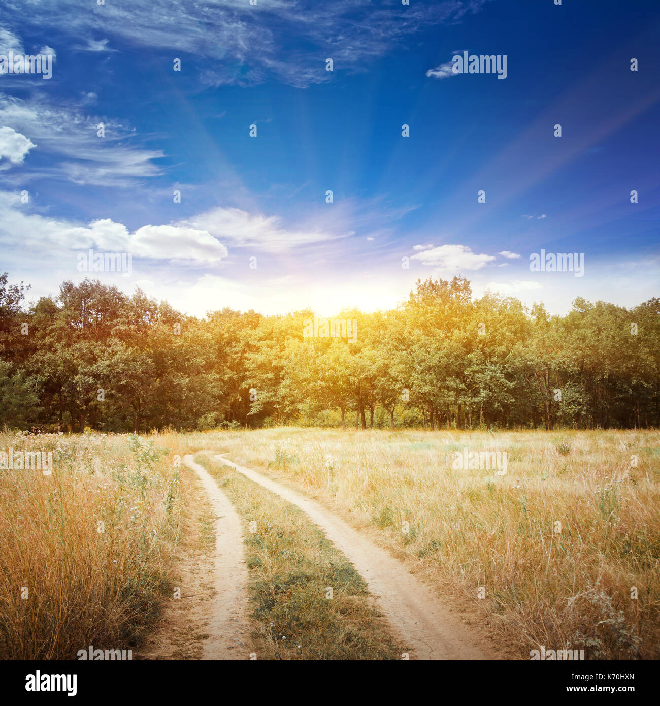 Rural road nature background Stock Photo - Alamy
