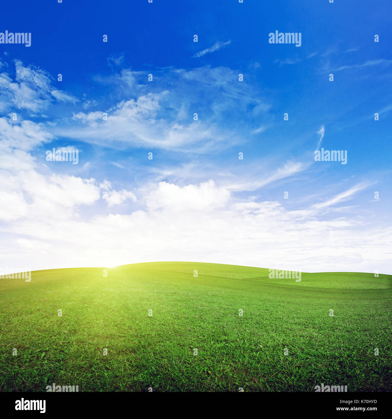 Morning field nature background Stock Photo - Alamy
