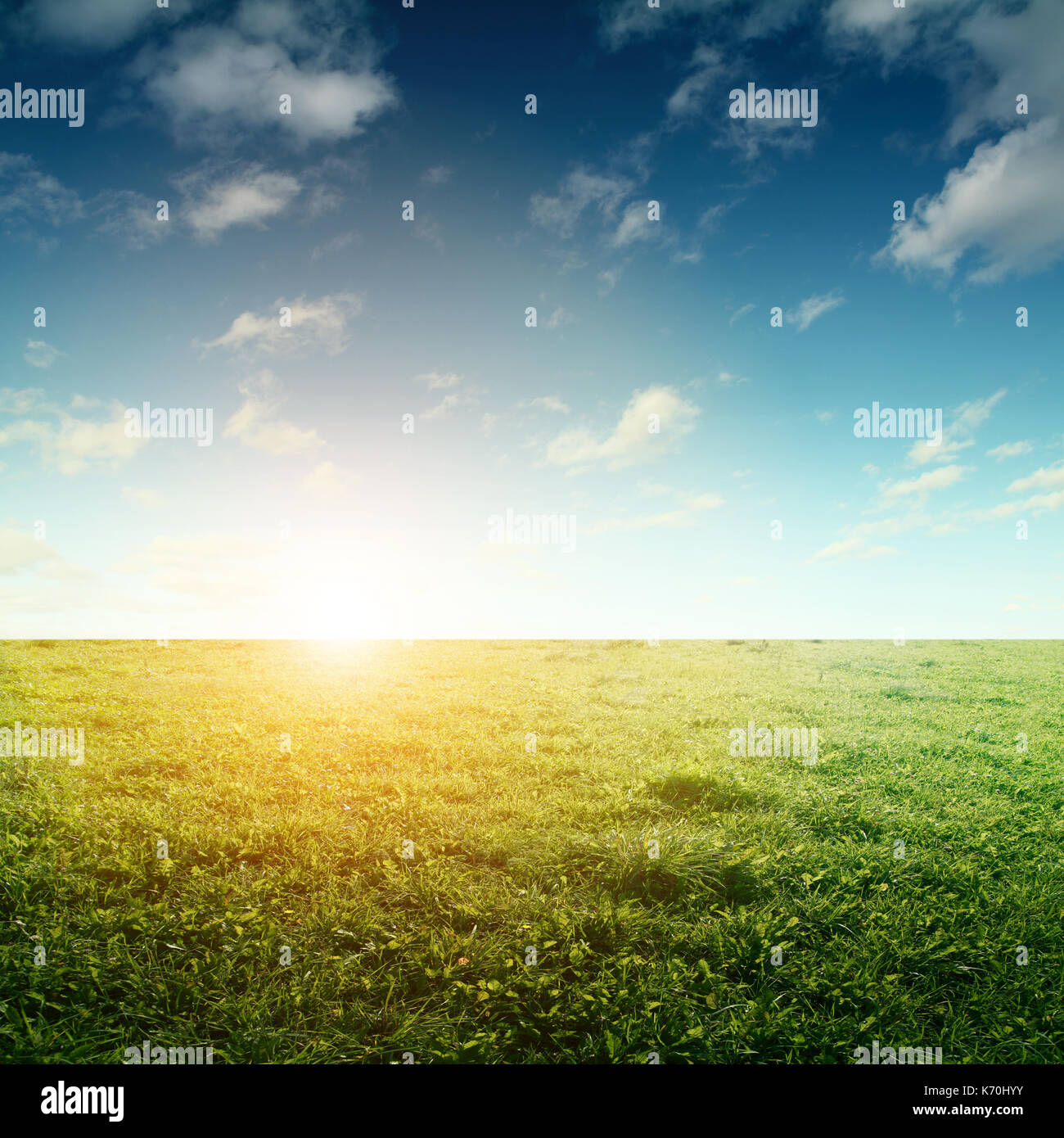 Sky and field Stock Photo - Alamy