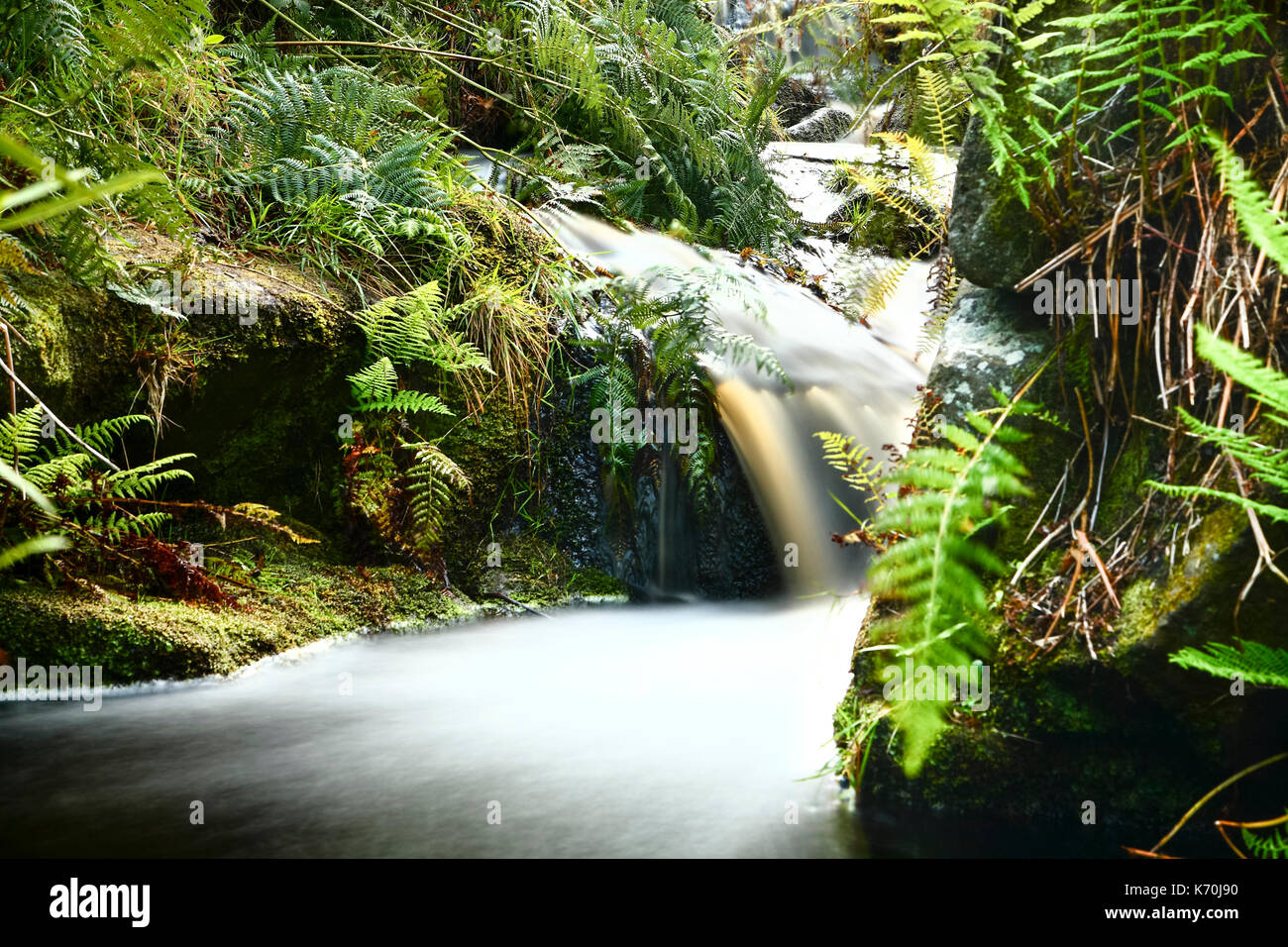 Long exposure image of a moorland stream flowing on ilkley moor ...