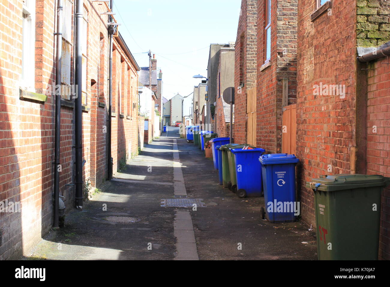 recycling bins out in the UK Stock Photo - Alamy