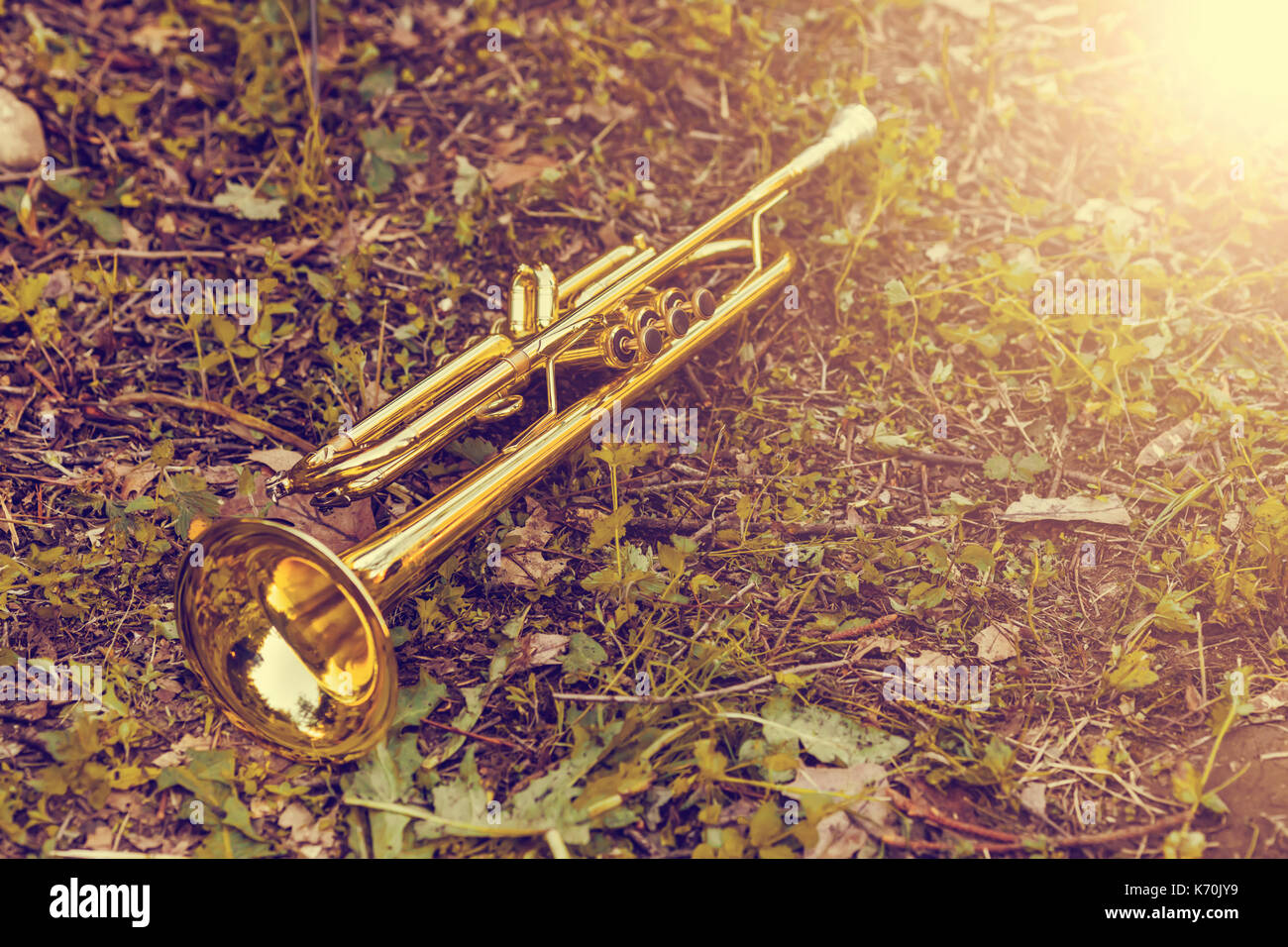 Golden trumpet placed on the grass after the concert. Vintage tone ...