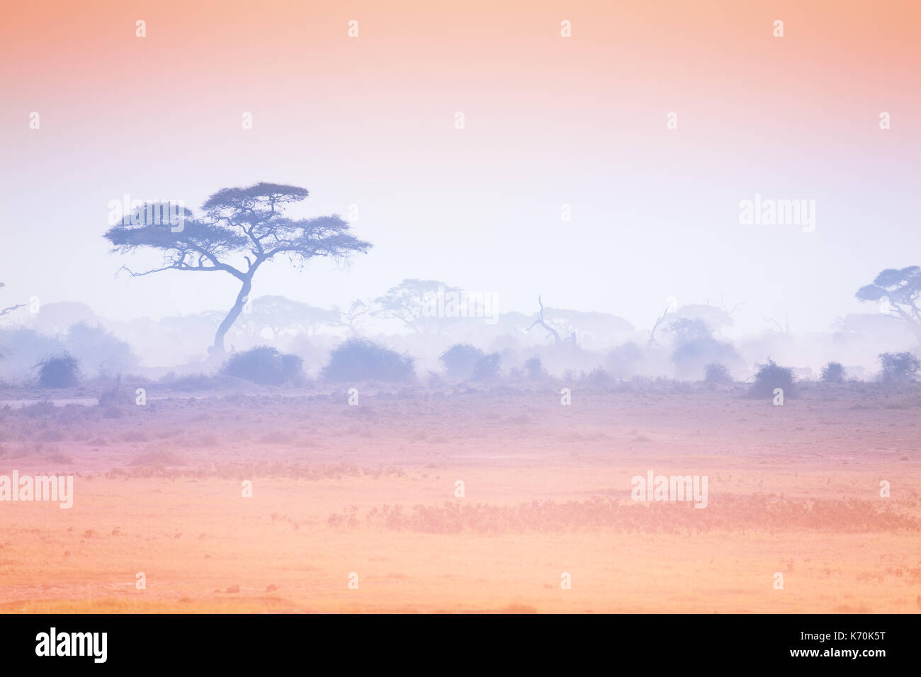 Wilderness area and sunset and purple hi-res stock photography and ...