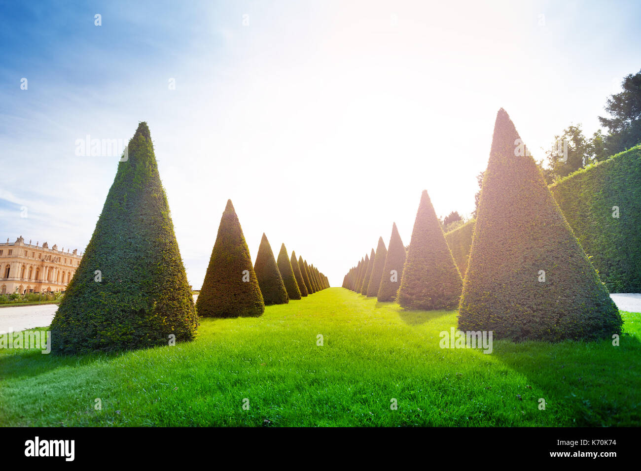 Converging Rows High Resolution Stock Photography and Images - Alamy