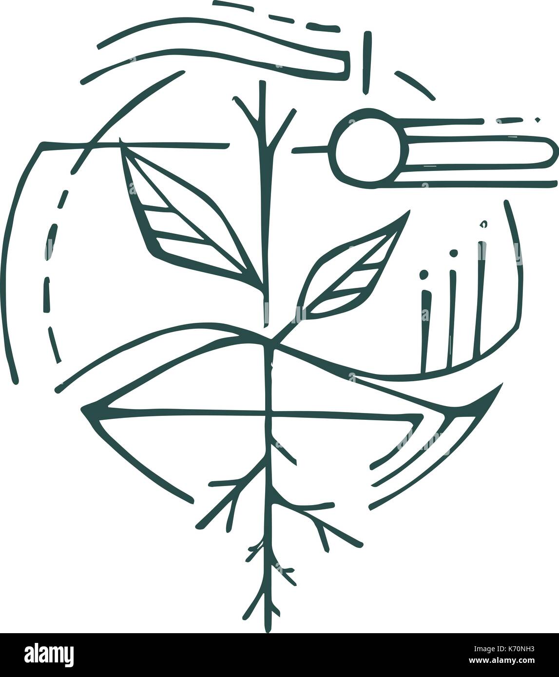 Hand drawn vector illustration or drawing of a plant and root abstract ...