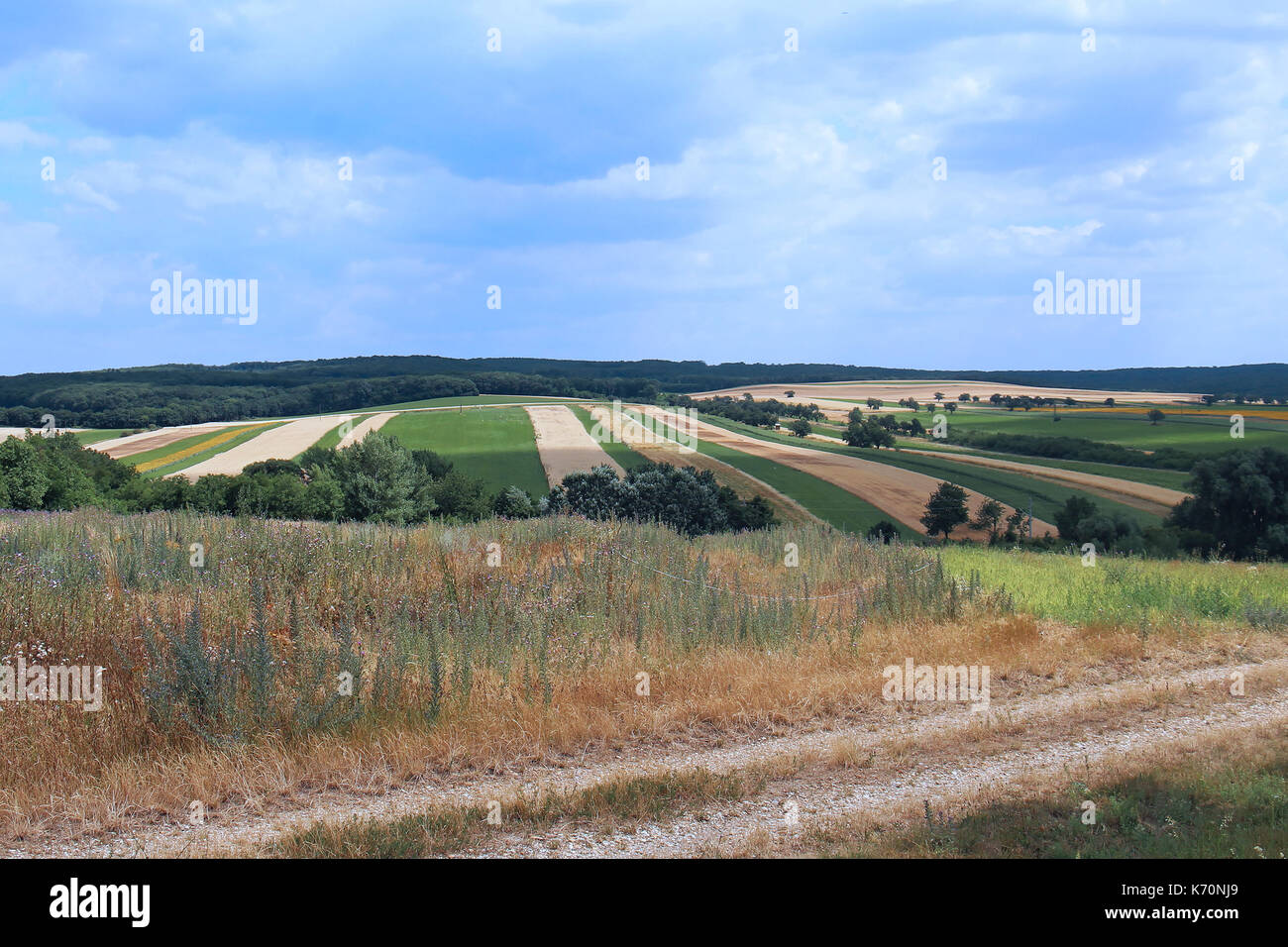 Large agriculture field with arable land and grass path Stock Photo - Alamy
