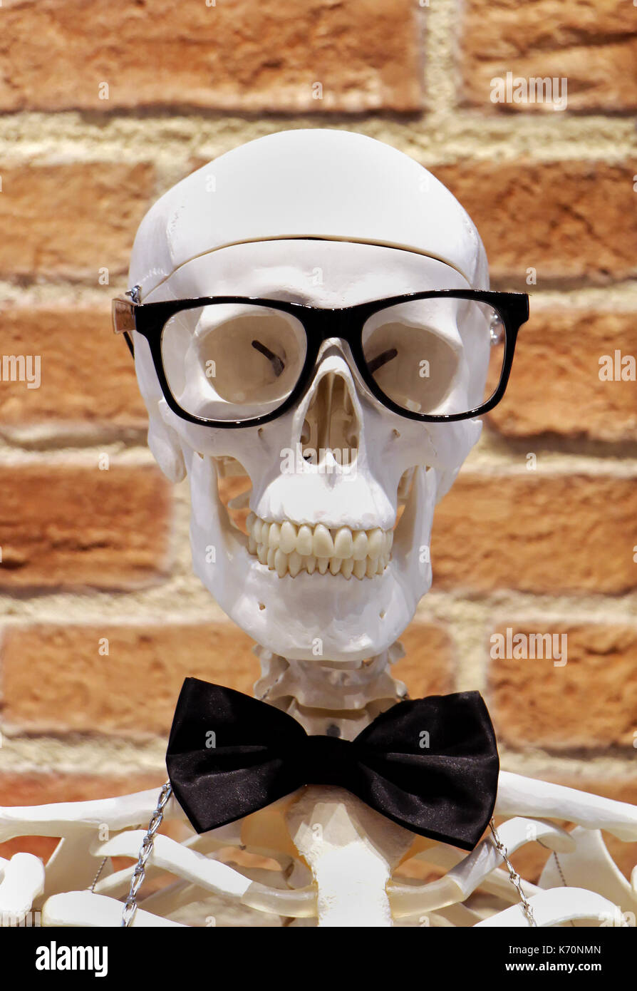 Human skeleton model with eyeglasses and bow tie Stock Photo - Alamy