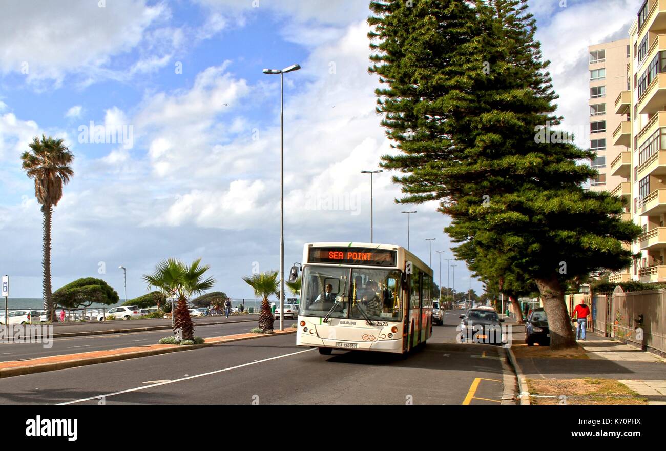 Sea point bus hi-res stock photography and images - Alamy