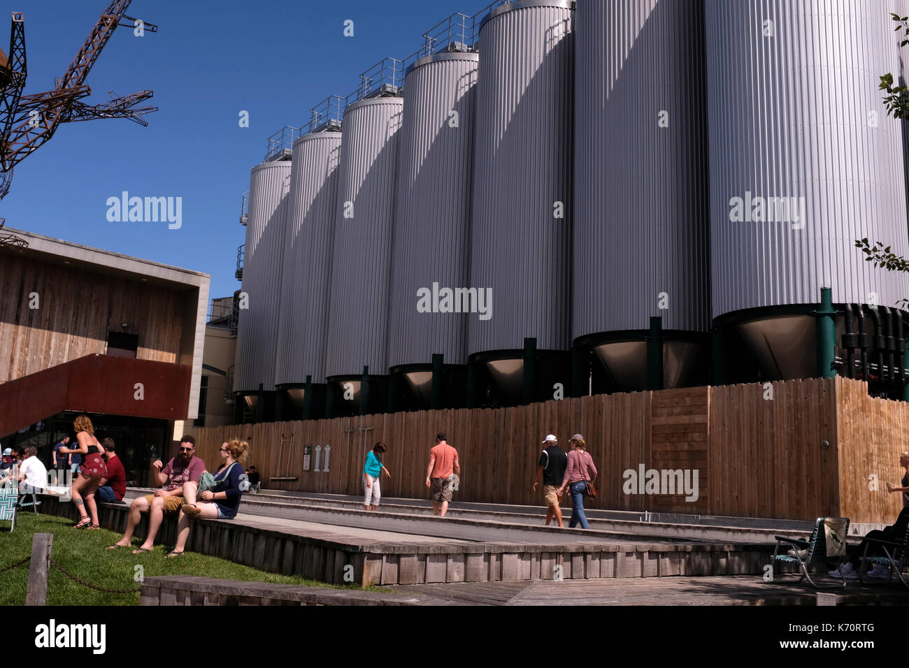 Dogfish head beer hi-res stock photography and images - Alamy
