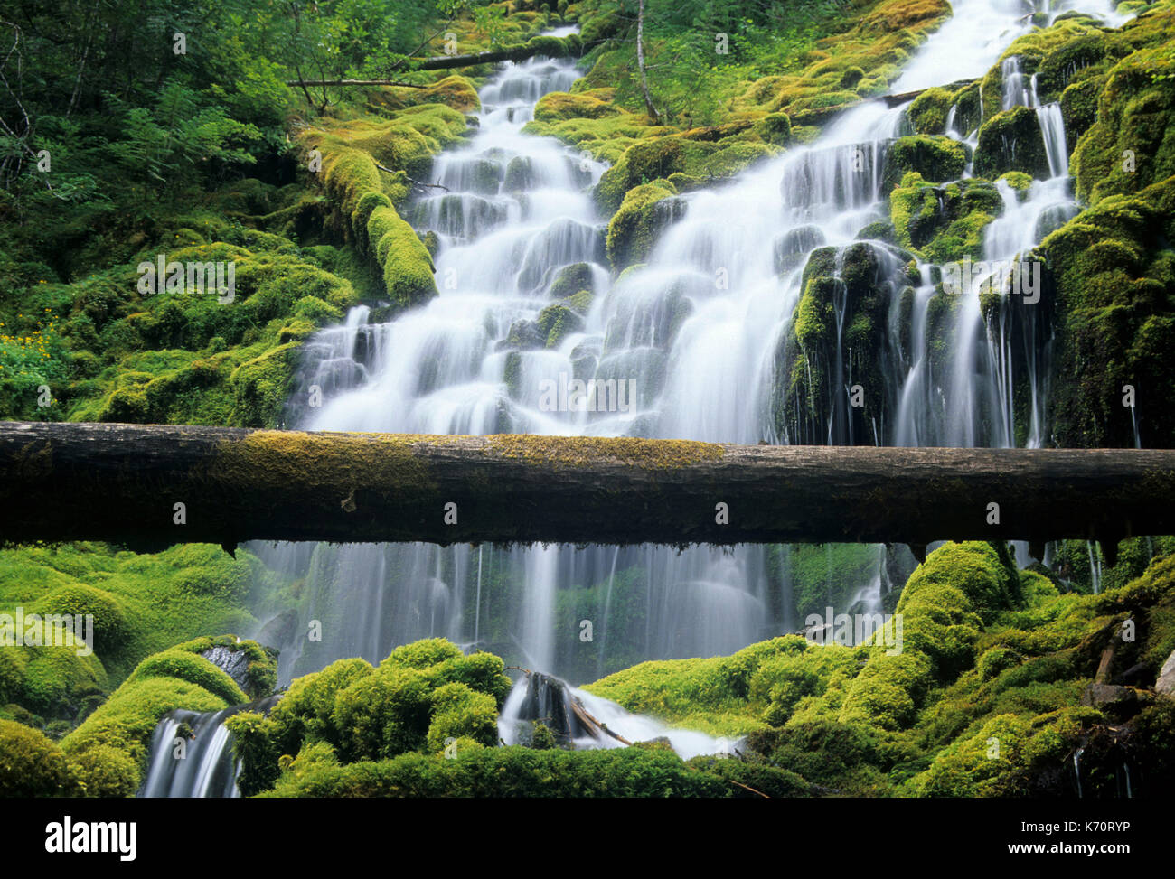 Upper Proxy Falls, Three Sisters Wilderness, Willamette National Forest ...