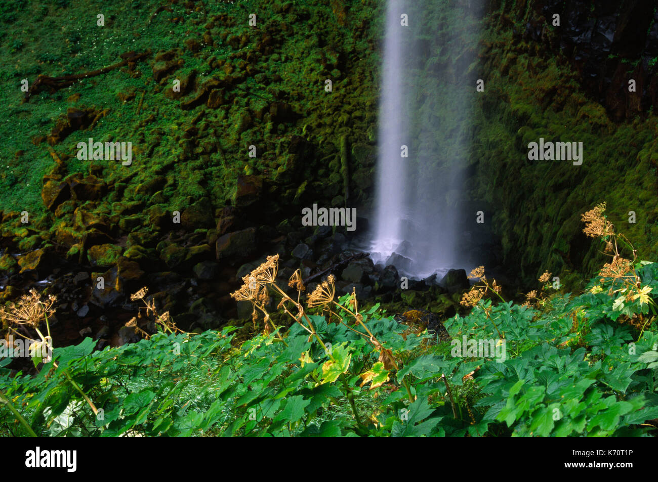 Watson Falls, Rogue-Umpqua National Scenic Byway, Umpqua National ...