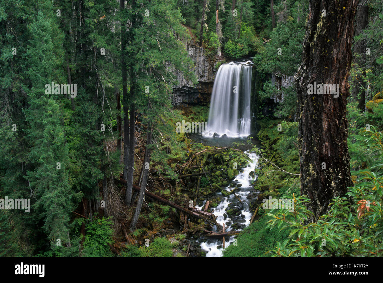 Warm springs falls trail hi-res stock photography and images - Alamy