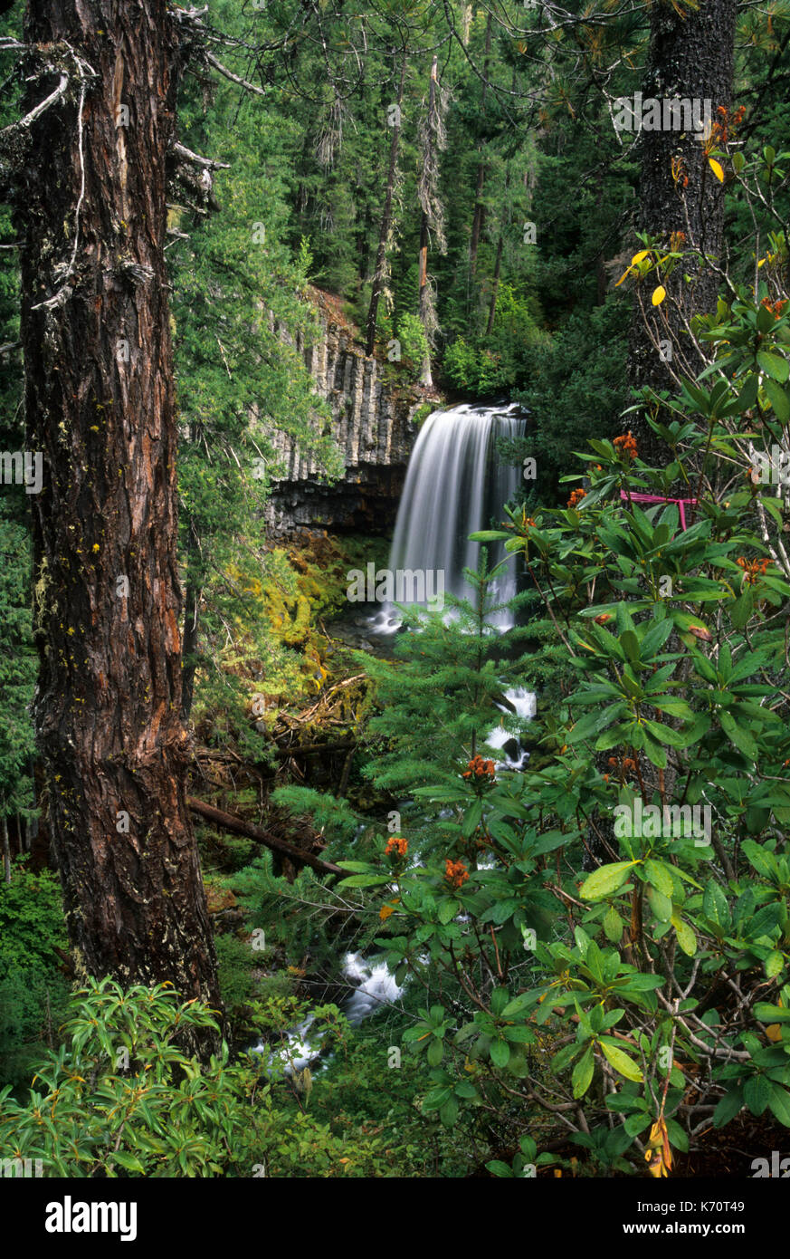 Warm springs falls hi-res stock photography and images - Alamy