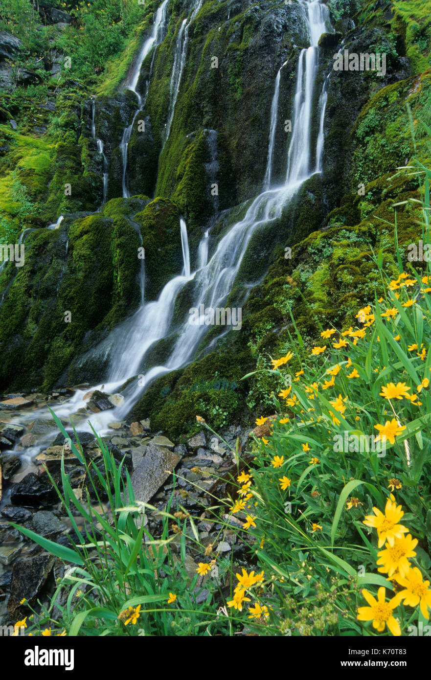 Vidae Falls, Crater Lake National Park, Oregon Stock Photo - Alamy