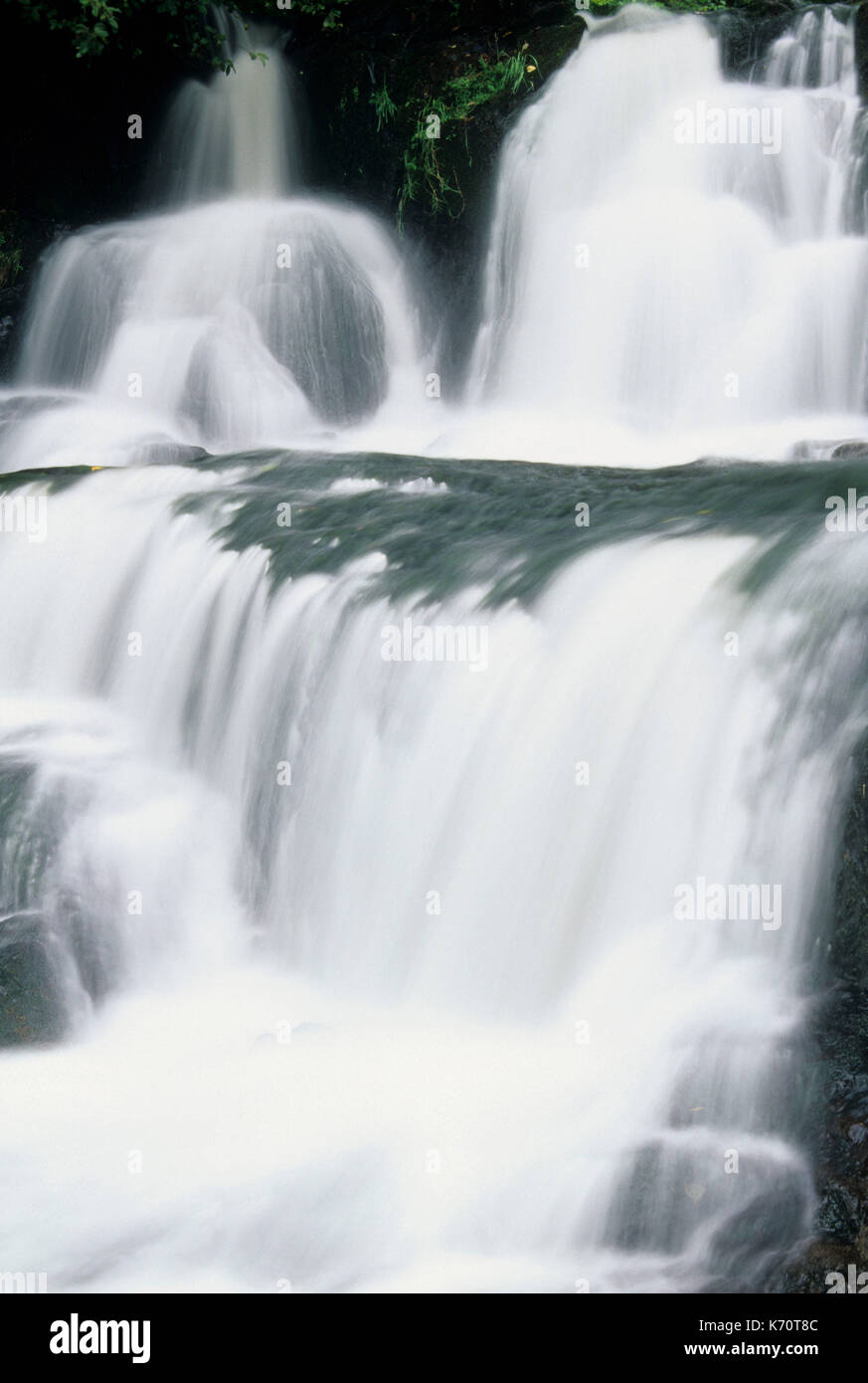 Alsea falls recreation site hi-res stock photography and images - Alamy