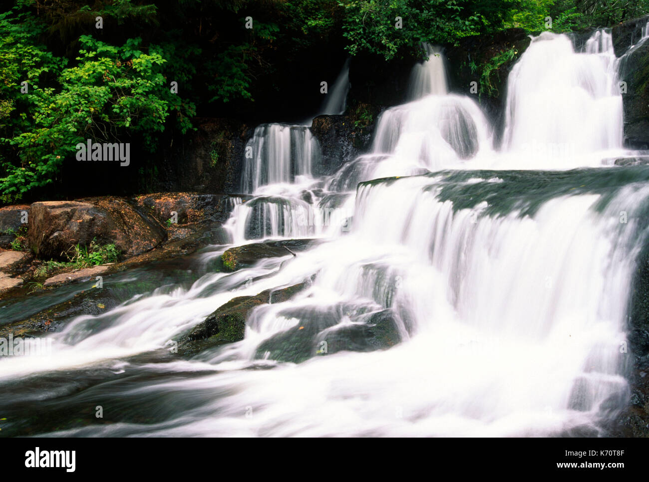 Alsea Falls, Alsea Falls Recreation Site, Oregon Stock Photo - Alamy