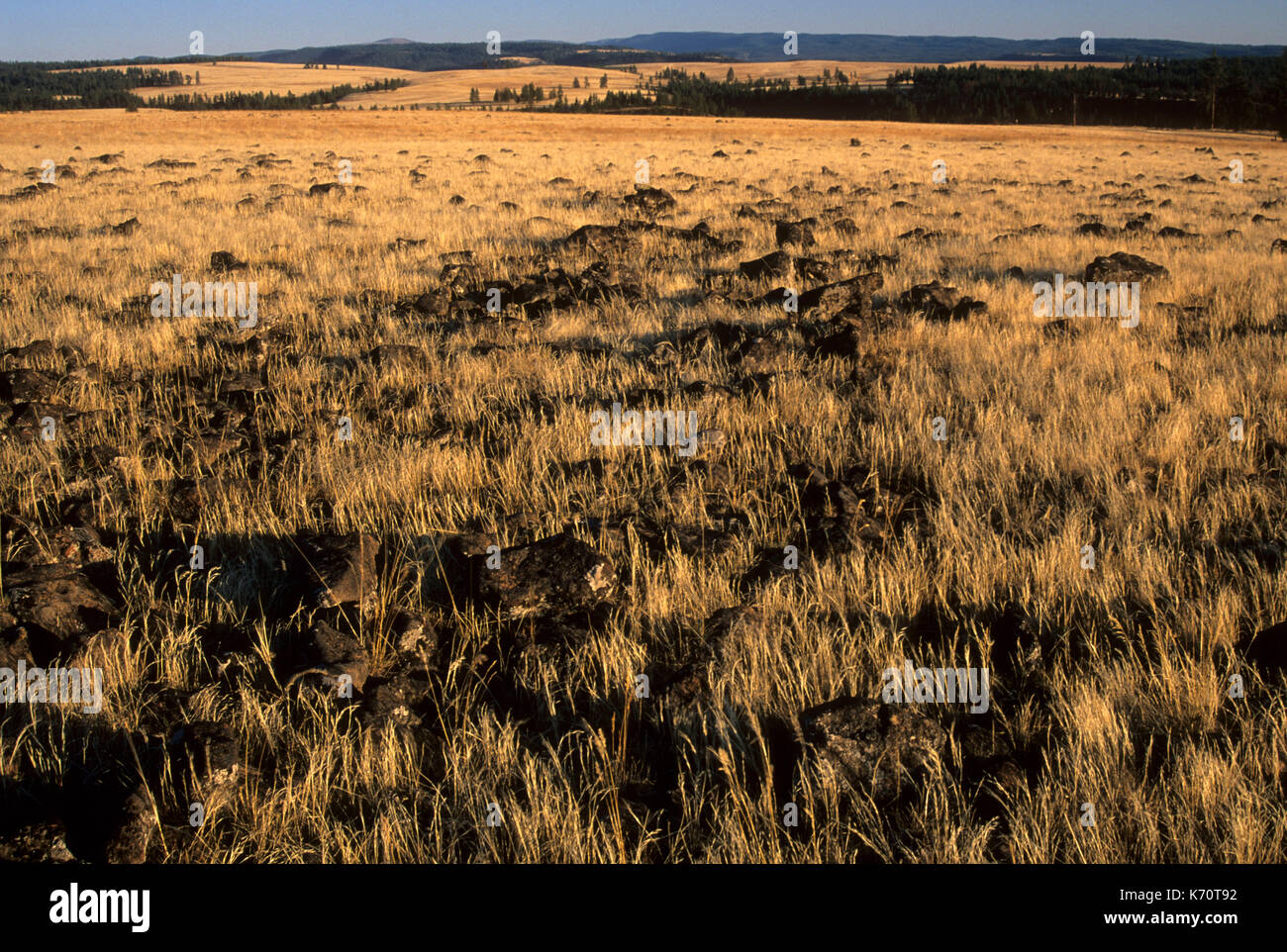 Ukiah oregon hi-res stock photography and images - Alamy