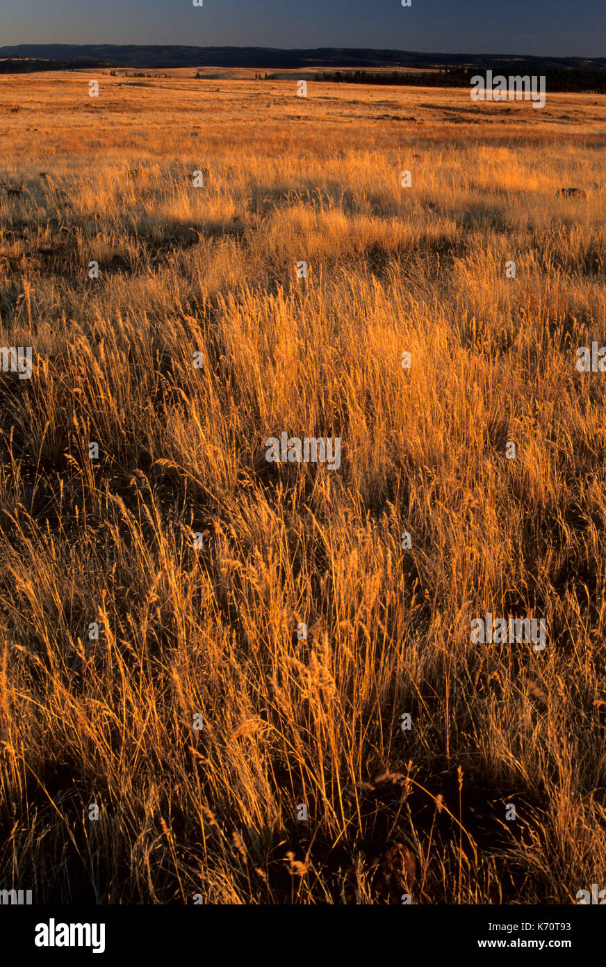 Ukiah oregon hi-res stock photography and images - Alamy