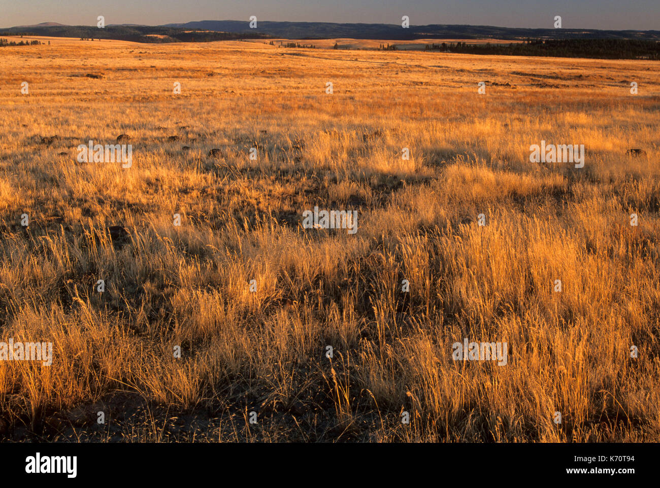 Ukiah oregon hi-res stock photography and images - Alamy